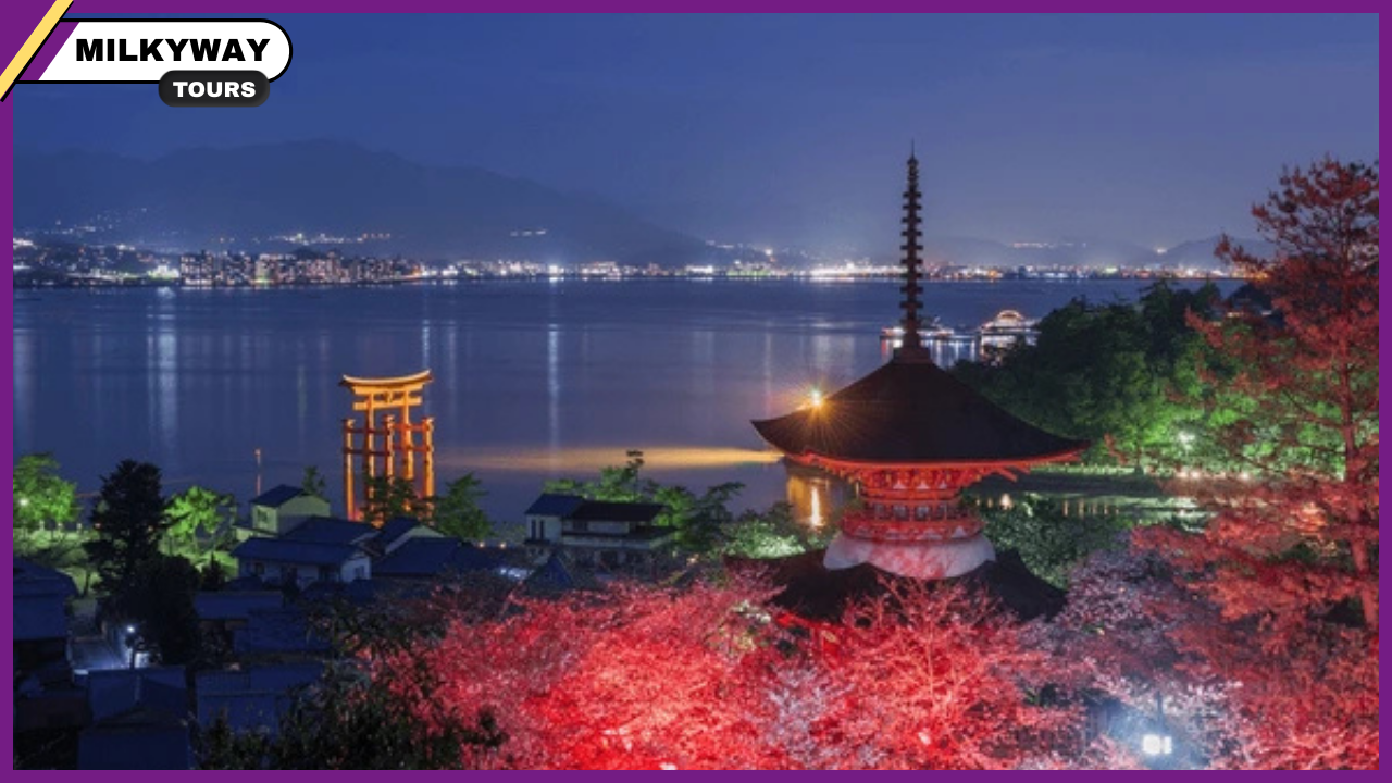 What to Do in Miyajima at Night: A Quiet Magic Guide
